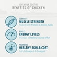 Caledon Farms Soft & Chewy Homestyle Chicken Grillers 426g Limited ...