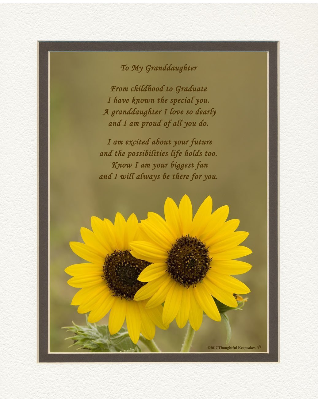 Sunflower Photo | Walmart Canada