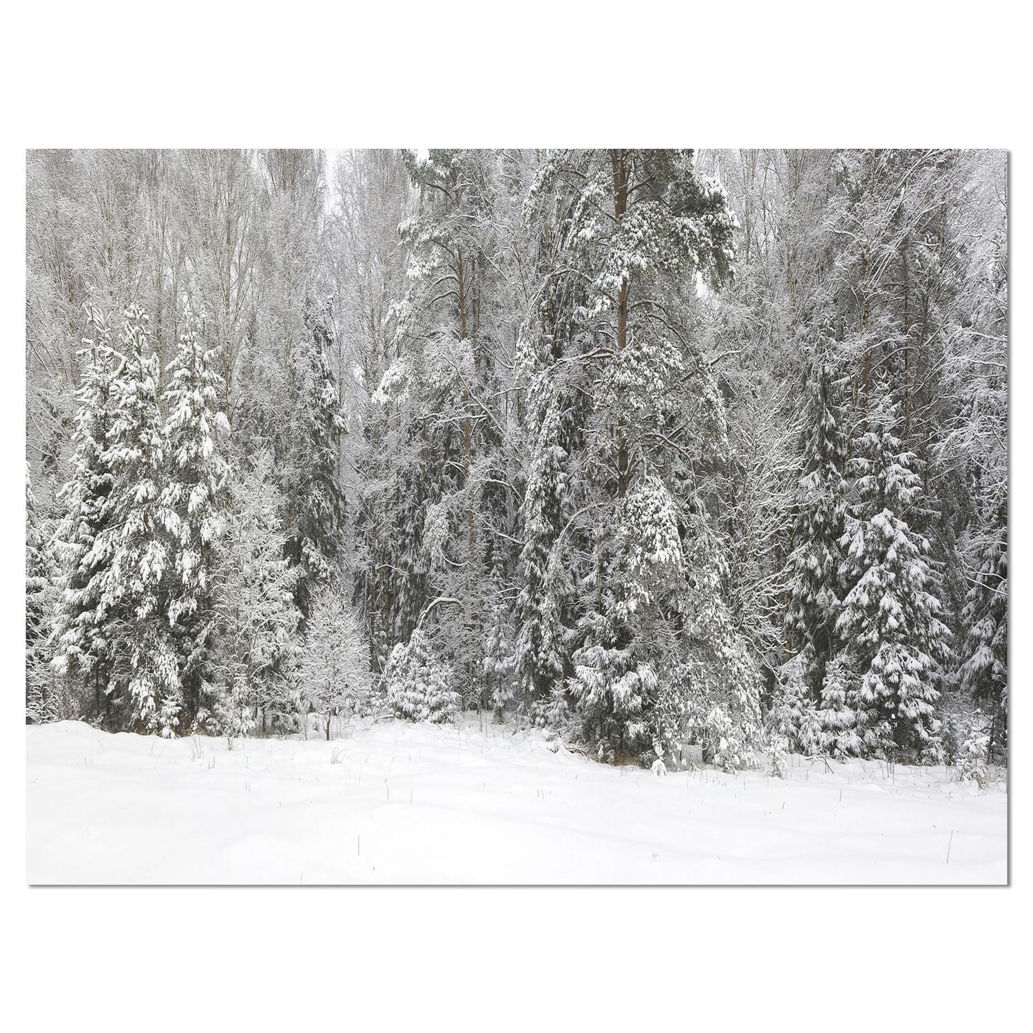 Designart Foggy Winter Forest Panorama Canvas Wall Art - Walmart.ca