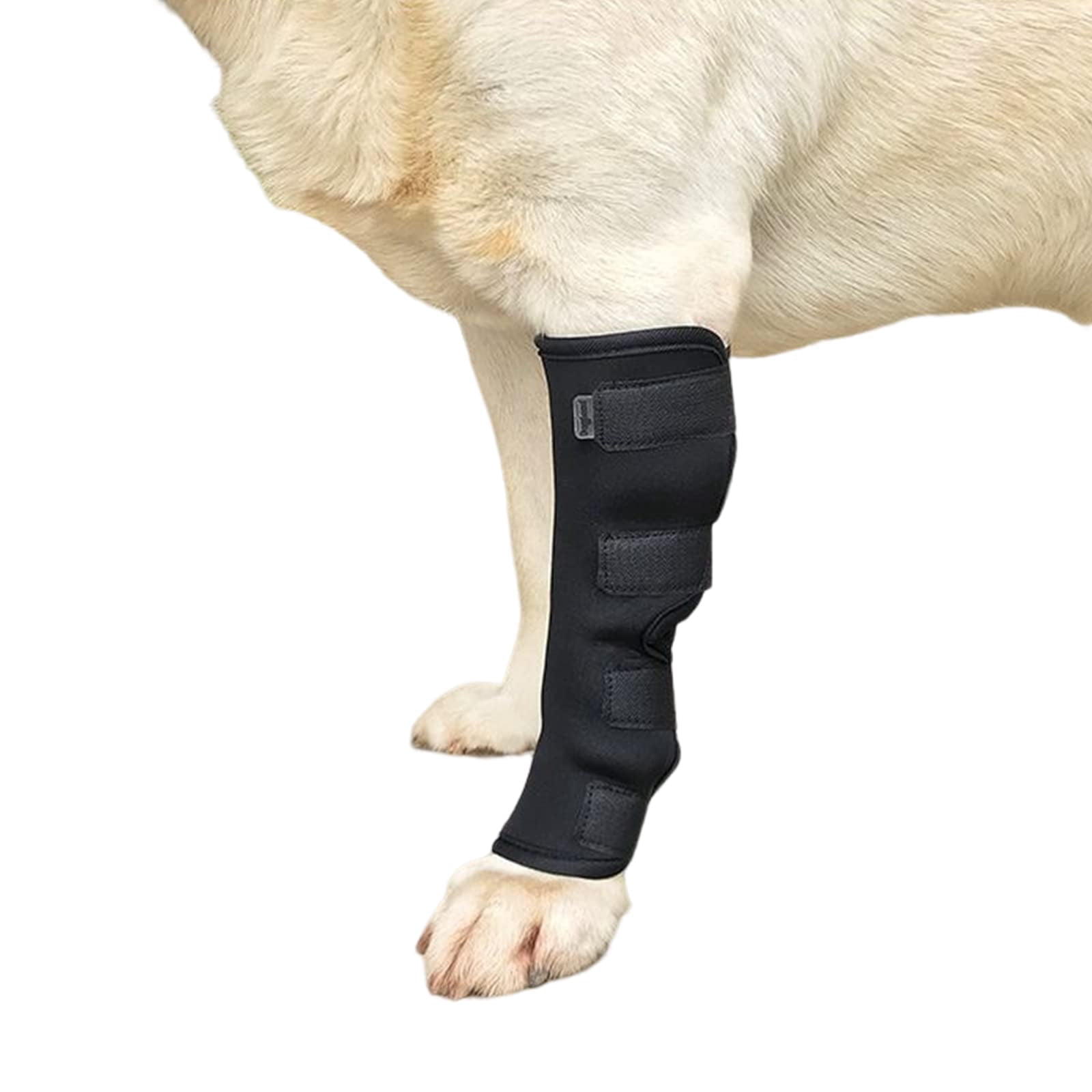 Dog Leg Brace - Medium Black Adjustable Hock Joint Sleeve - Post ...