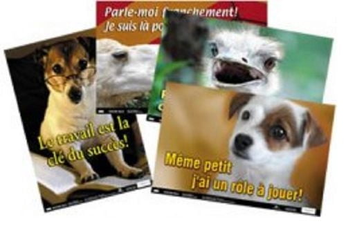 French Educational Fun Posters - Walmart.ca