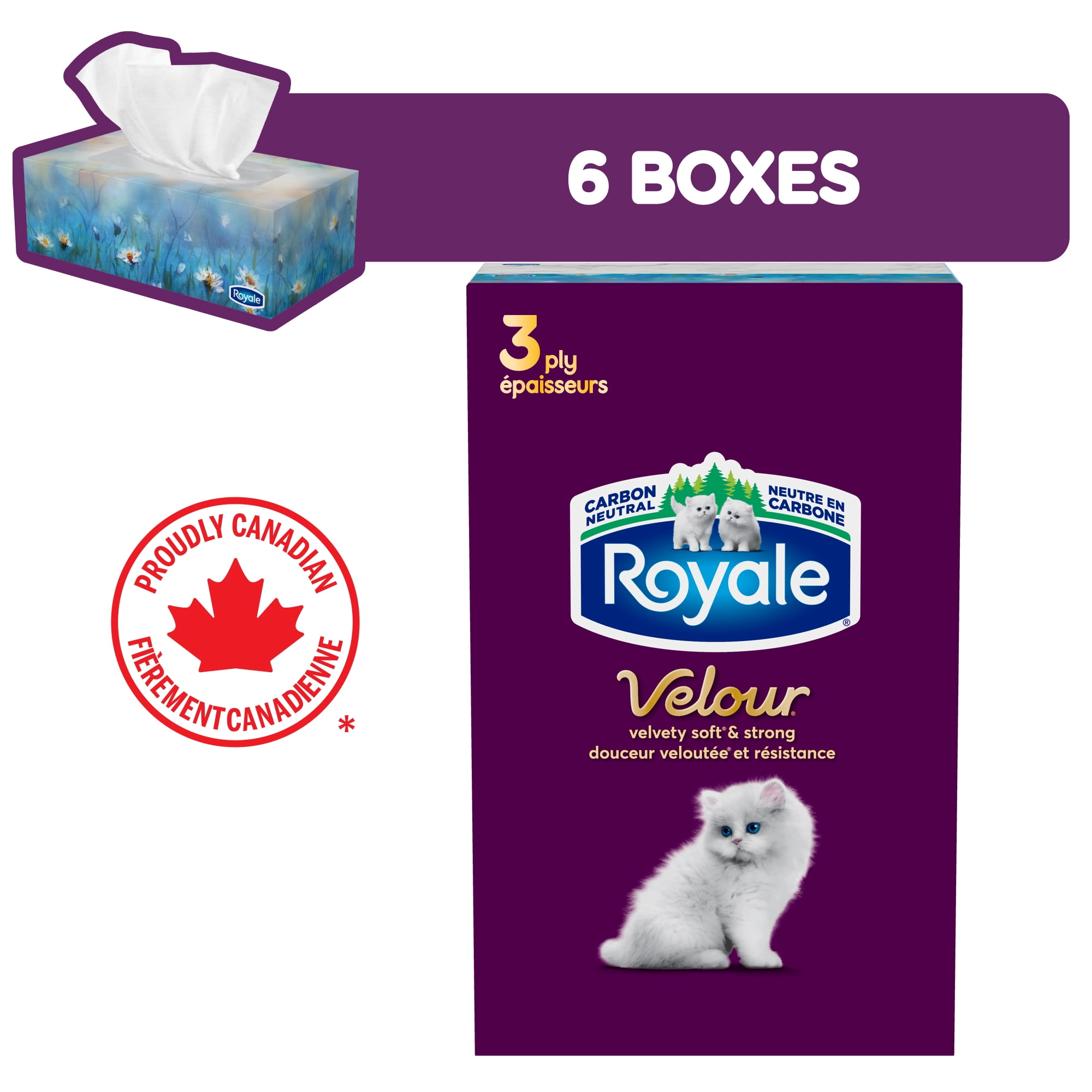 Royale Velour, 3 Ply Facial Tissue, 6 Flat Boxes, 82 Tissues per Box ...