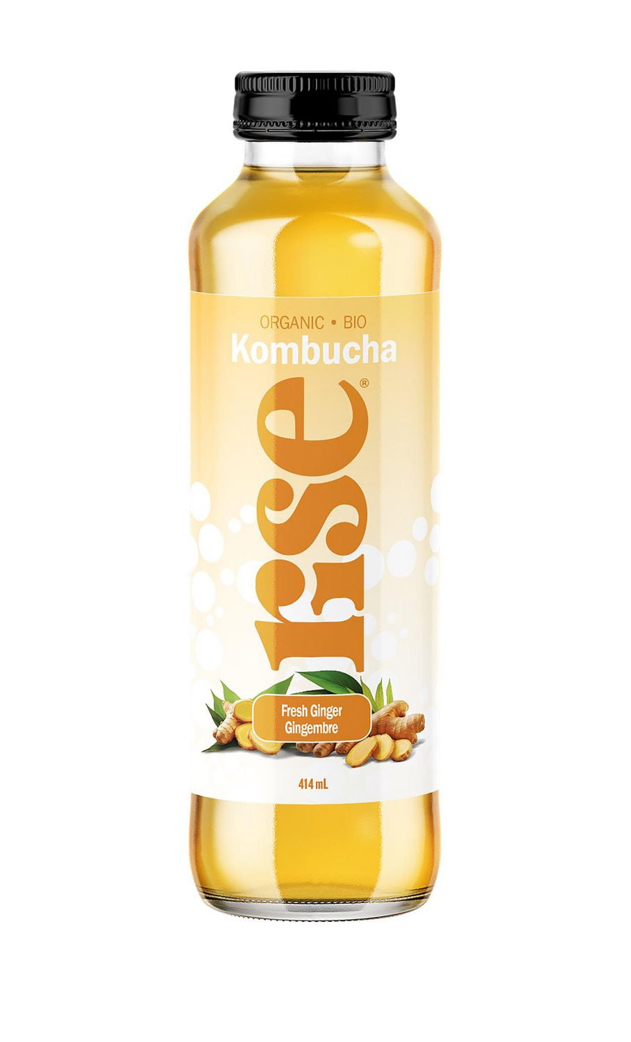 Click here for Rise Kombucha Fresh Ginger prices