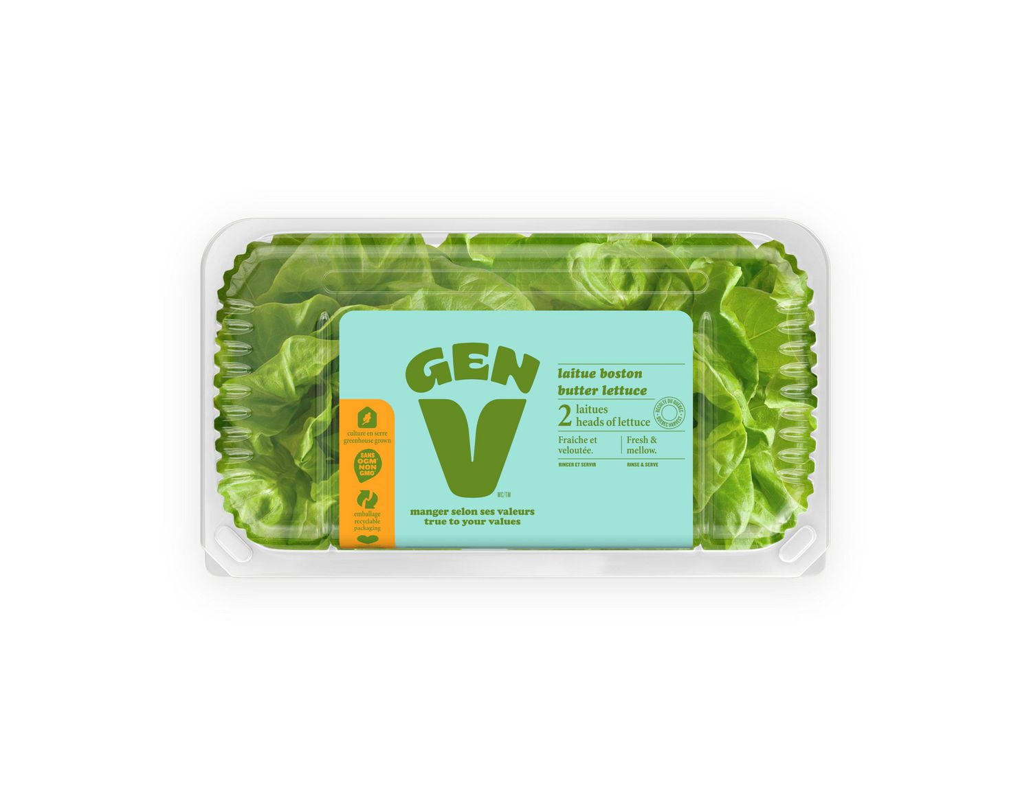 Click here for Butter Lettuce prices