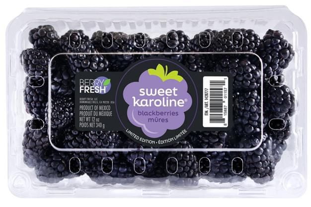 Click here for Sweet Karoline Blackberries prices