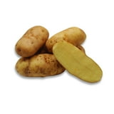 Your Fresh Market Russet Potatoes, 5 lb Bag - Walmart.ca