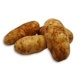 Your Fresh Market Russet Potatoes, 5 lb Bag - Walmart.ca