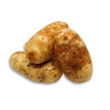 Your Fresh Market Russet Potatoes, 5 lb Bag - Walmart.ca