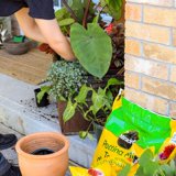 Miracle-Gro Potting Mix - 17.6L, Grows Plants Twice as Big - Walmart.ca