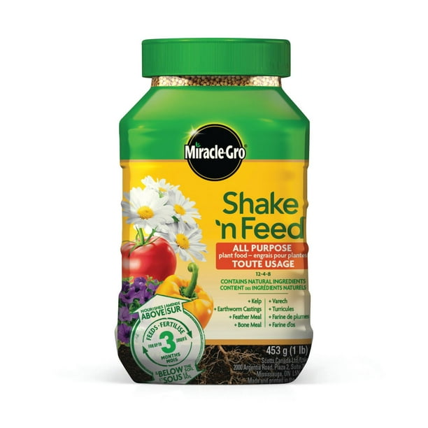 Miracle-Gro Shake N Feed All Purpose Plant Food - 453g, Feeds up to 3 ...