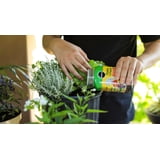 Miracle-Gro Shake N Feed All Purpose Plant Food - 453g, Feeds up to 3 ...