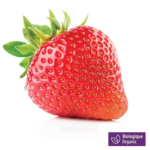 Strawberries, Organic, 1 lb - Walmart.ca