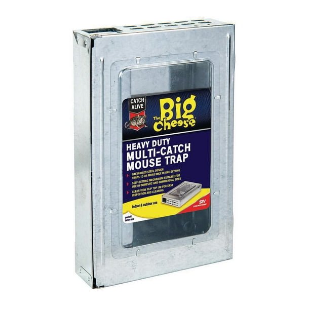 Mouse Trap Live Multi-Catch Heavy Duty - Walmart.ca