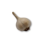 Garlic, Pack of 3 - Walmart.ca
