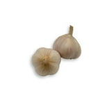 Garlic, Pack of 3 - Walmart.ca