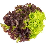 Inspired Greens Living Lettuce Tender & Tasty Trio, Living Lettuce Trio ...