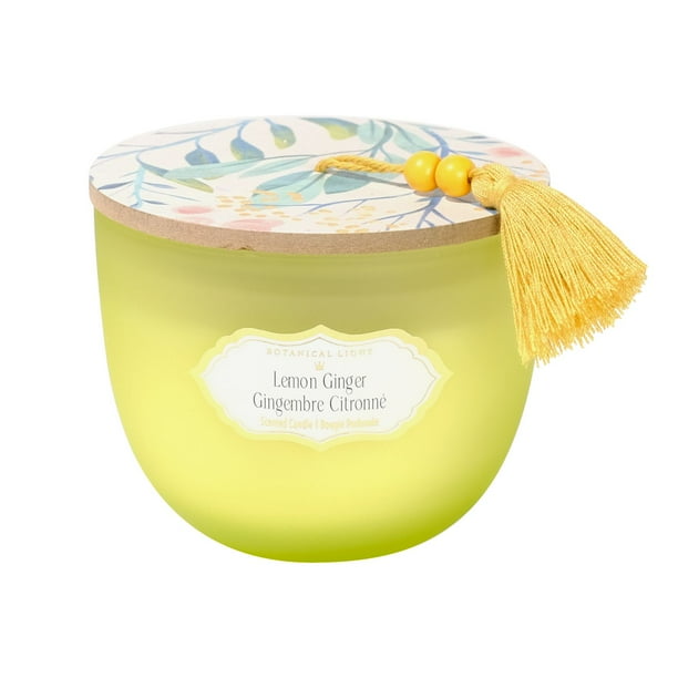 Botanical Light 11.11oz Lemon Ginger Scented Candle, · 11.11oz· 315g ...