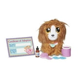 My Life As Rescue Pet Box - Walmart.ca