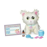 My Life As Rescue Pet Box - Walmart.ca