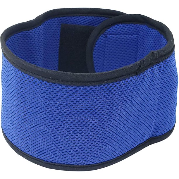 Penn-Plax Cooling Collar - Walmart.ca