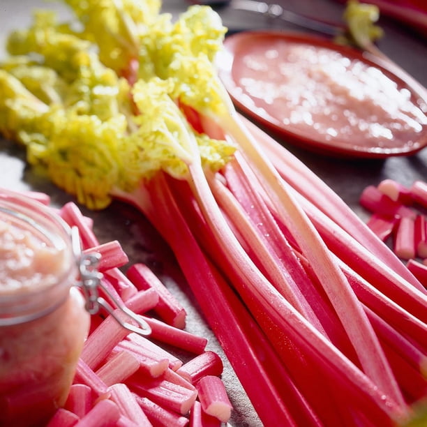 TASC- Rooted Plug- Rhubarb - Walmart.ca