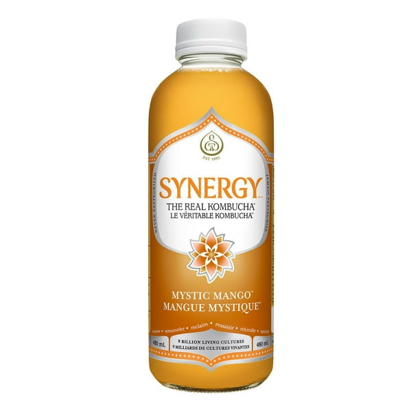 GT's Synergy Mystic Mango Kombucha, 480ML - Walmart.ca
