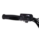 Hyper Ultra 40 20" 36V Electric Bike for Adults, Pedal-Assist, 250W E ...