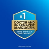 Salonpas Pain Relieving Patch, 60 count - Walmart.ca