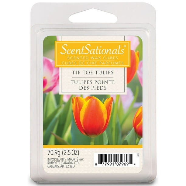 ScentSationals Wax Tip Toe Tulips - Walmart.ca