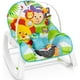 Fisher-Price Infant-to-Toddler Rocker - Walmart Exclusive - Walmart.ca