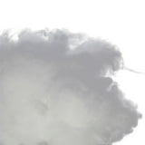 Eversoft 16 oz Microfiber Stuffing - Walmart.ca