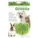 Penn Plax Home Grown Greens for cats, dogs, small animals, birds and ...