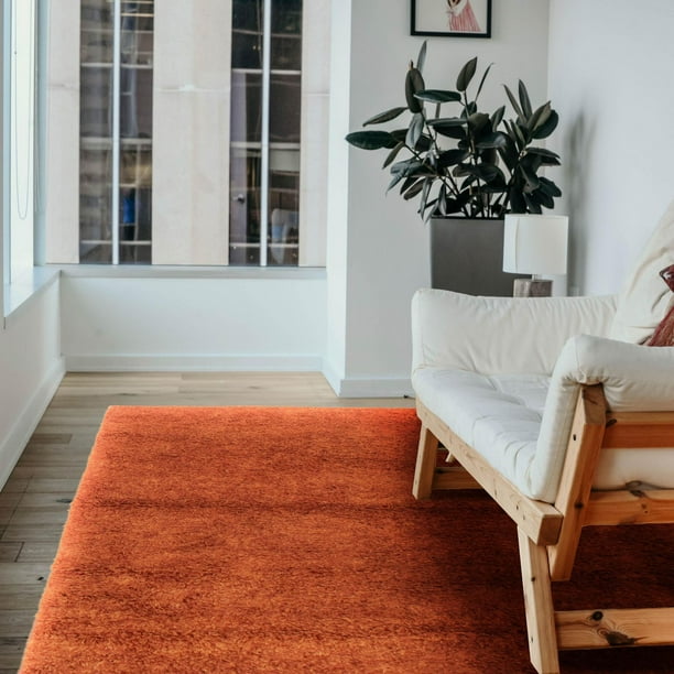 ECARPETGALLERY Metro Plush Burnt Orange Shag 5'0" x 7'0" - Walmart.ca