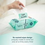 Rascal + Friends Sensitive Baby Wipes - Walmart.ca