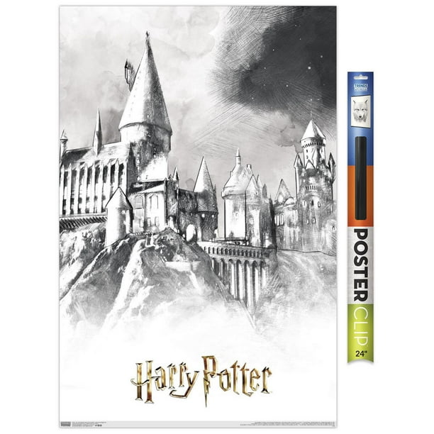 The Wizarding World: Harry Potter - Illustrated Hogwarts Wall Poster ...