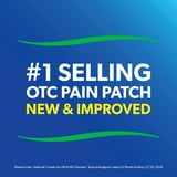 Salonpas Pain Relieving Patch, 60 count - Walmart.ca