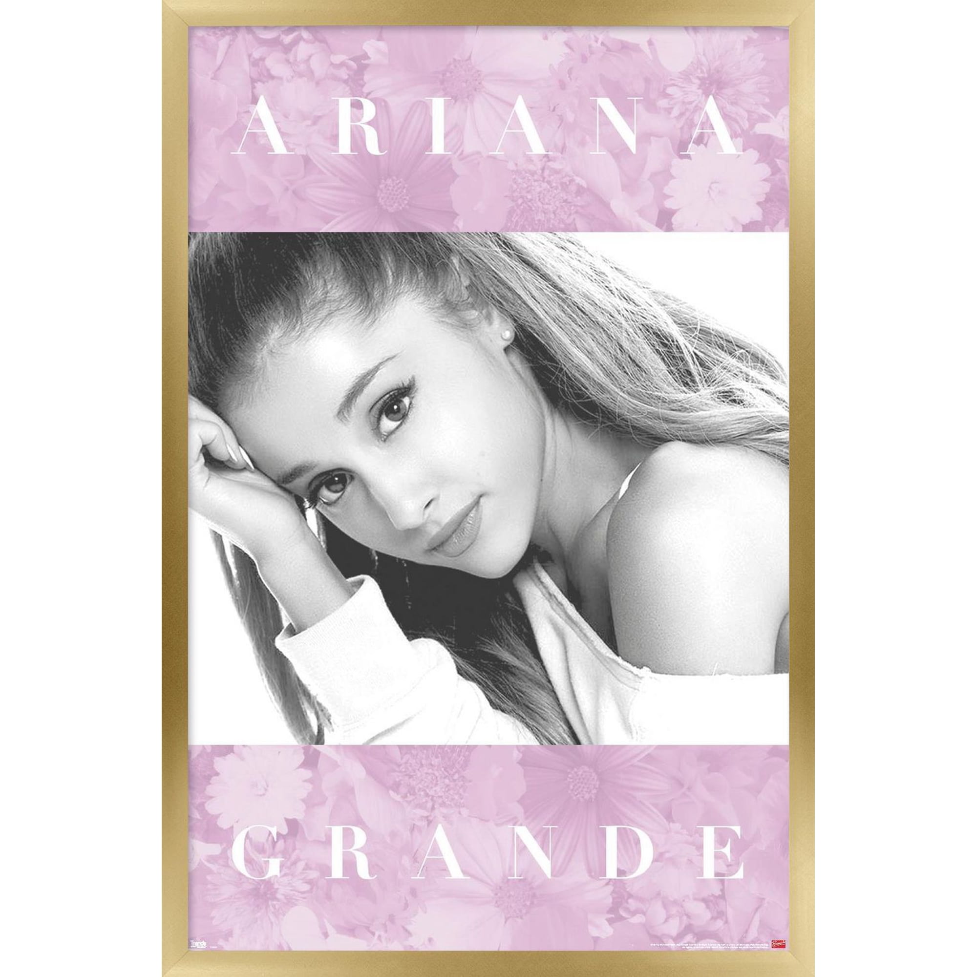 Ariana Grande Birthday Real Name Age Weight Height Family Contact