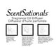 ScentSationals Scent Charm Diffuser - Wilson, Fragrance Oil Diffuser ...