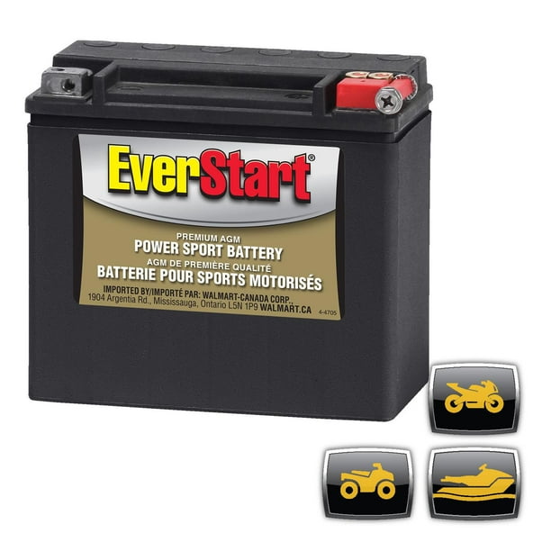 EverStart POWERSPORT PREM ES-TX20L, 12 Volt, Power Sports Battery, 310 ...