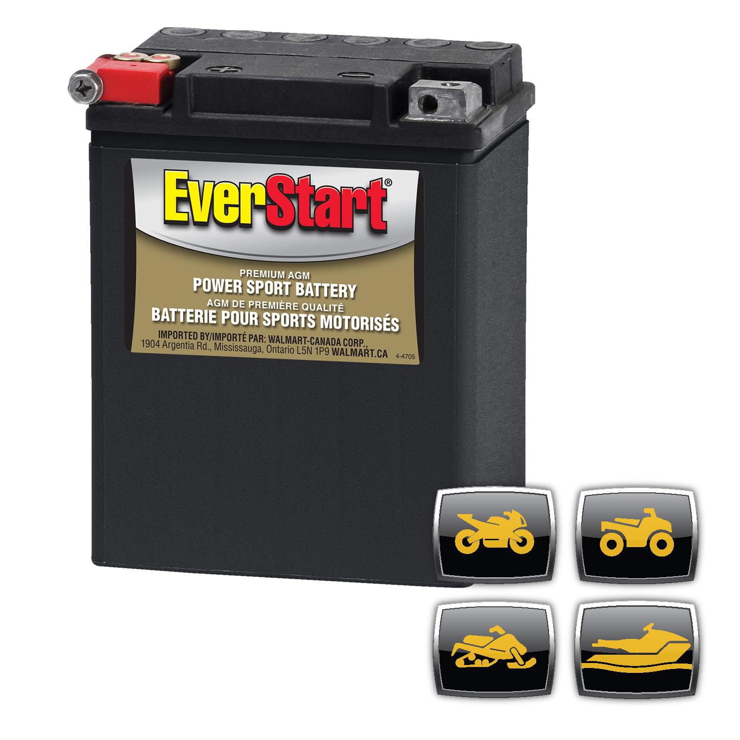 EverStart Plus Lead Acid Automotive Battery Group Size 75 51 OFF EverStart Plus Lead Acid Automotive Battery Group Size 75 51 OFF