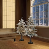 Holiday Time Set of 2 Flocked Snowy Christmas Trees - Walmart.ca
