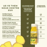 Greenhouse Ginger Defence For Immunity Wellness Shot, 60 mL - Walmart.ca