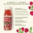 Greenhouse Organic Smart Energy Wellness Shots (4 Pack), 4 x 60 mL ...