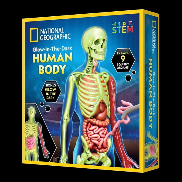 National Geographic Glow in the Dark Human Body, National Geographic ...