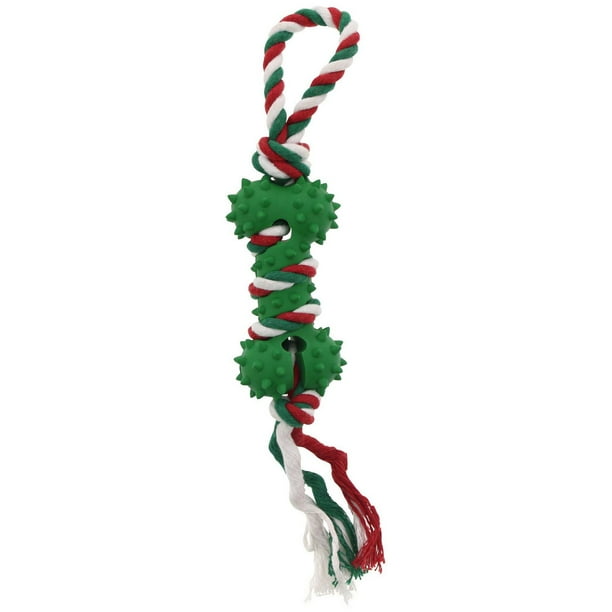 Vibrant Life Rubber Bone with Rope Dog Toy - Walmart.ca