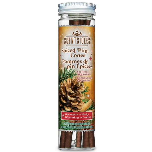 Scentsicles Spiced Pine Cones Scented Ornament Sticks - Walmart.ca