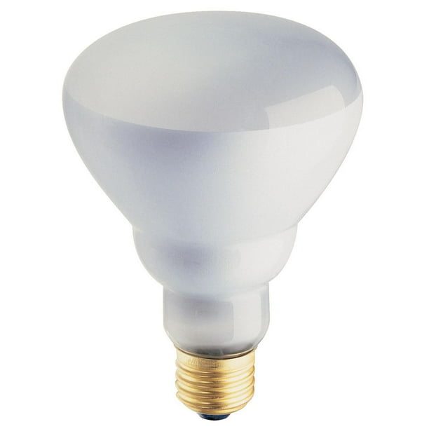 Globe Electric Incandescent BR38 Flood 65W 6PK Glass Light Bulb, 00060 ...