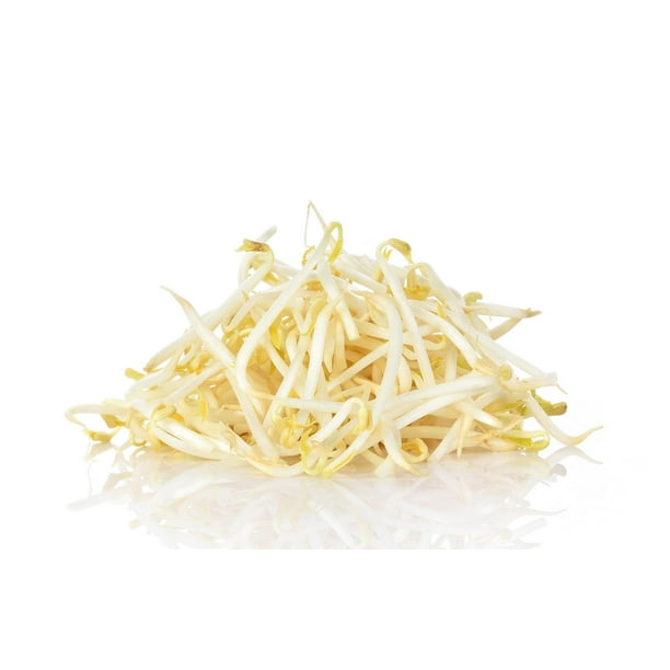 Bean Sprout, 13 oz - Walmart.ca