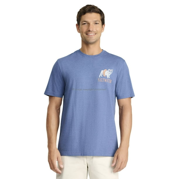 IZOD MENS SHORT SLEEVE GRAPHIC TEE, Sizes S – XXL - Walmart.ca