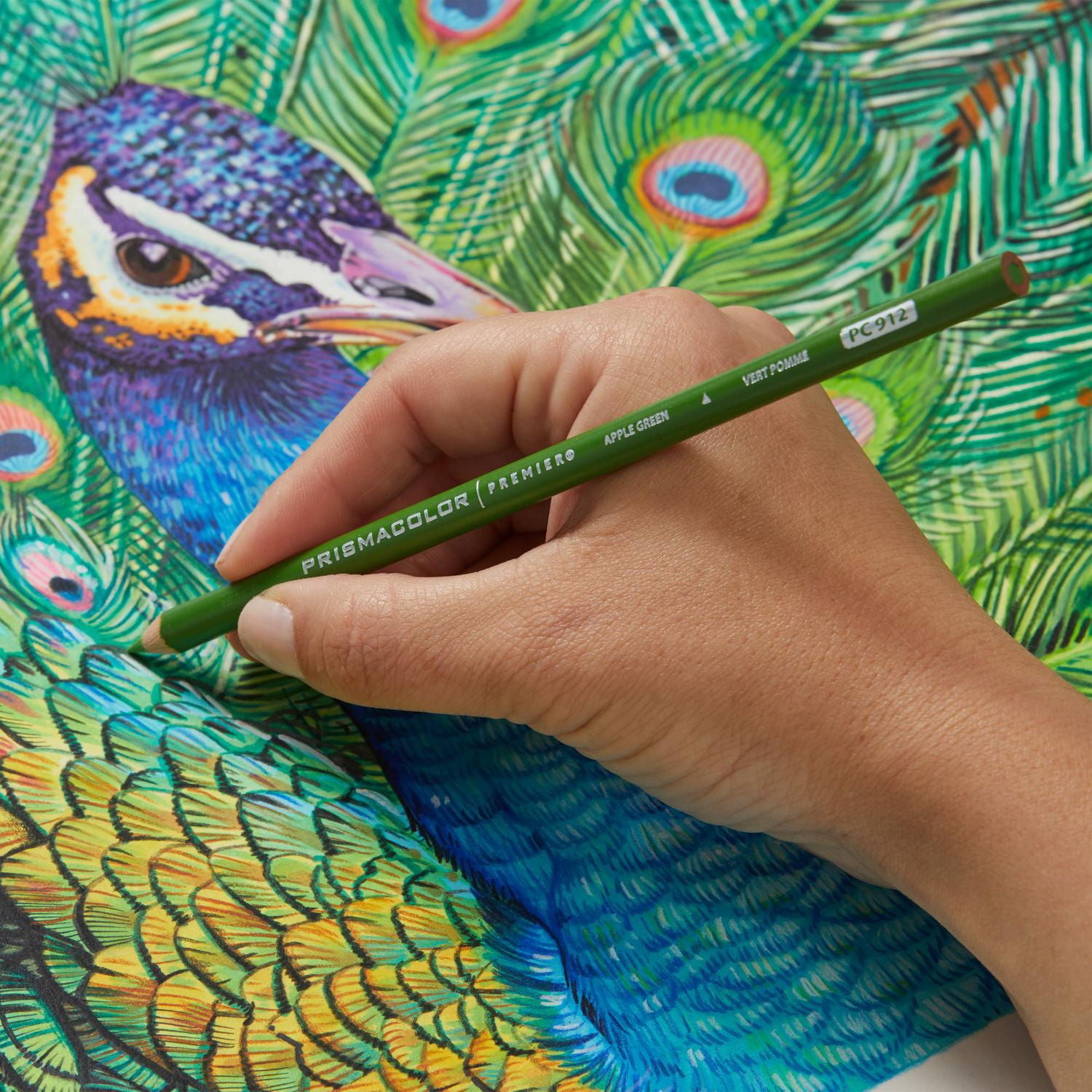 Prismacolor colored pencils store
